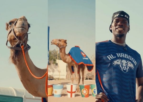 Al Haboob turns a racing camel into the World Cup's unlikeliest pundit ...